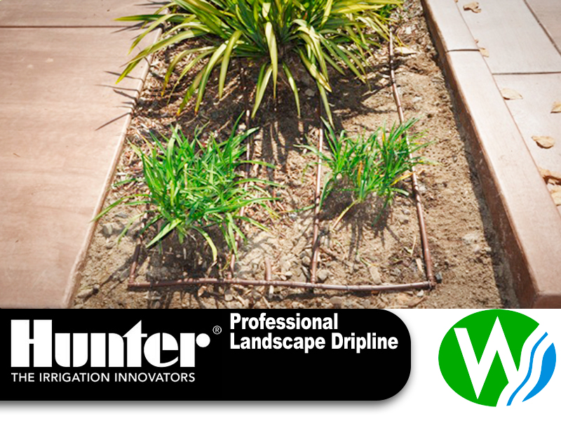 Hunter Drip Line 13mm Diameter 200m Roll - The Watershed Water Systems